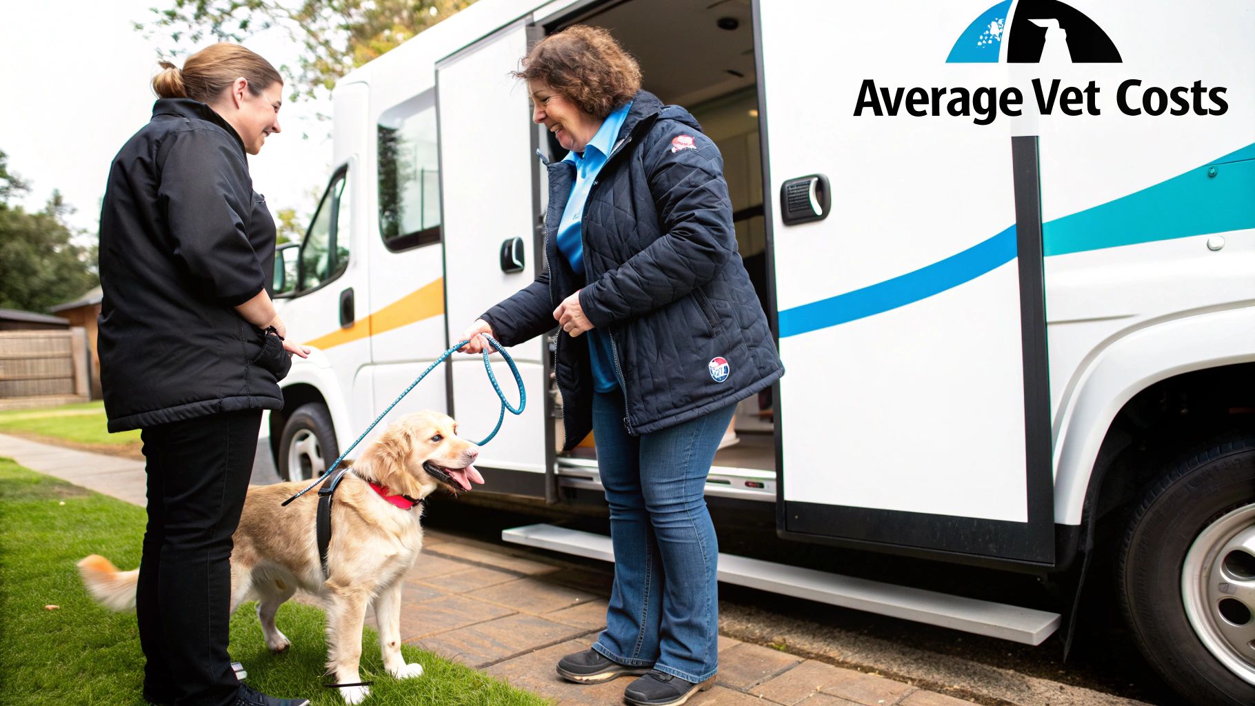 average vet costs – PMV HUB